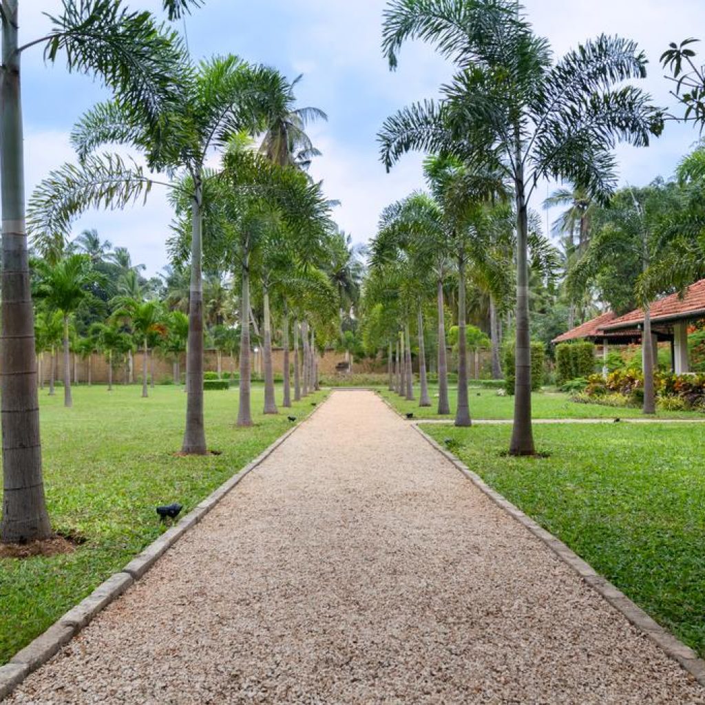 Fox Resorts Jaffna – Heart Attached